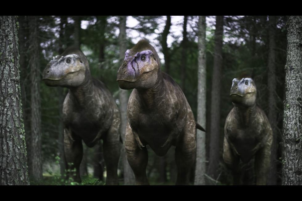 First look: Walking With Dinosaurs, BBC1 | Features | Broadcast